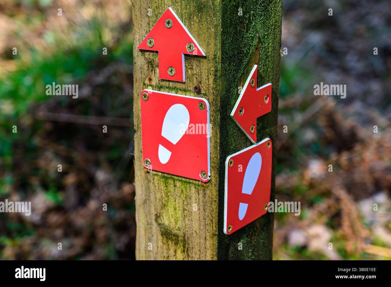 Foot path direction sign in Coed y Brenin – Wales, UK – 11 April 2025 ...