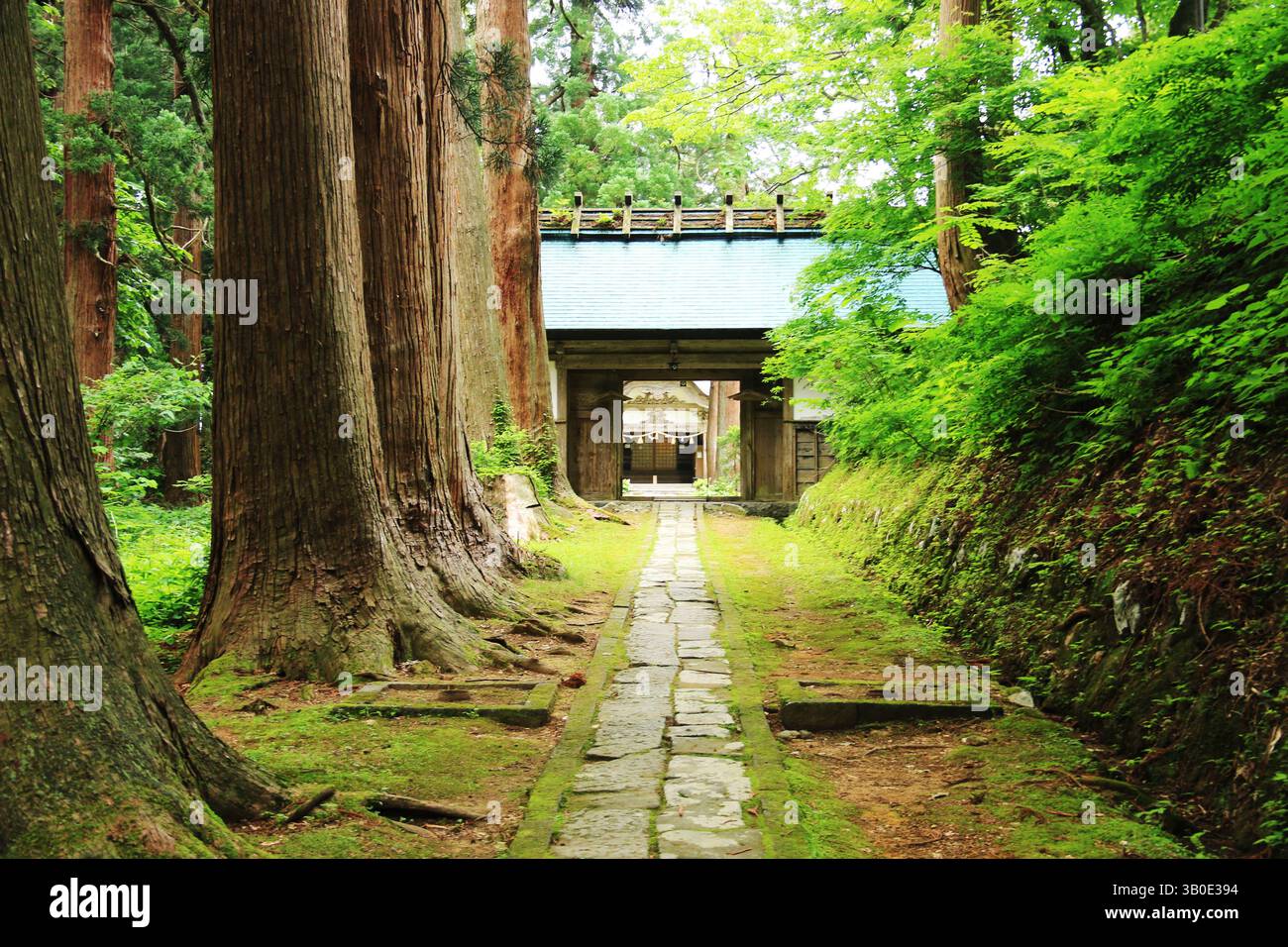 Sanzan jingousha hall hi-res stock photography and images - Alamy