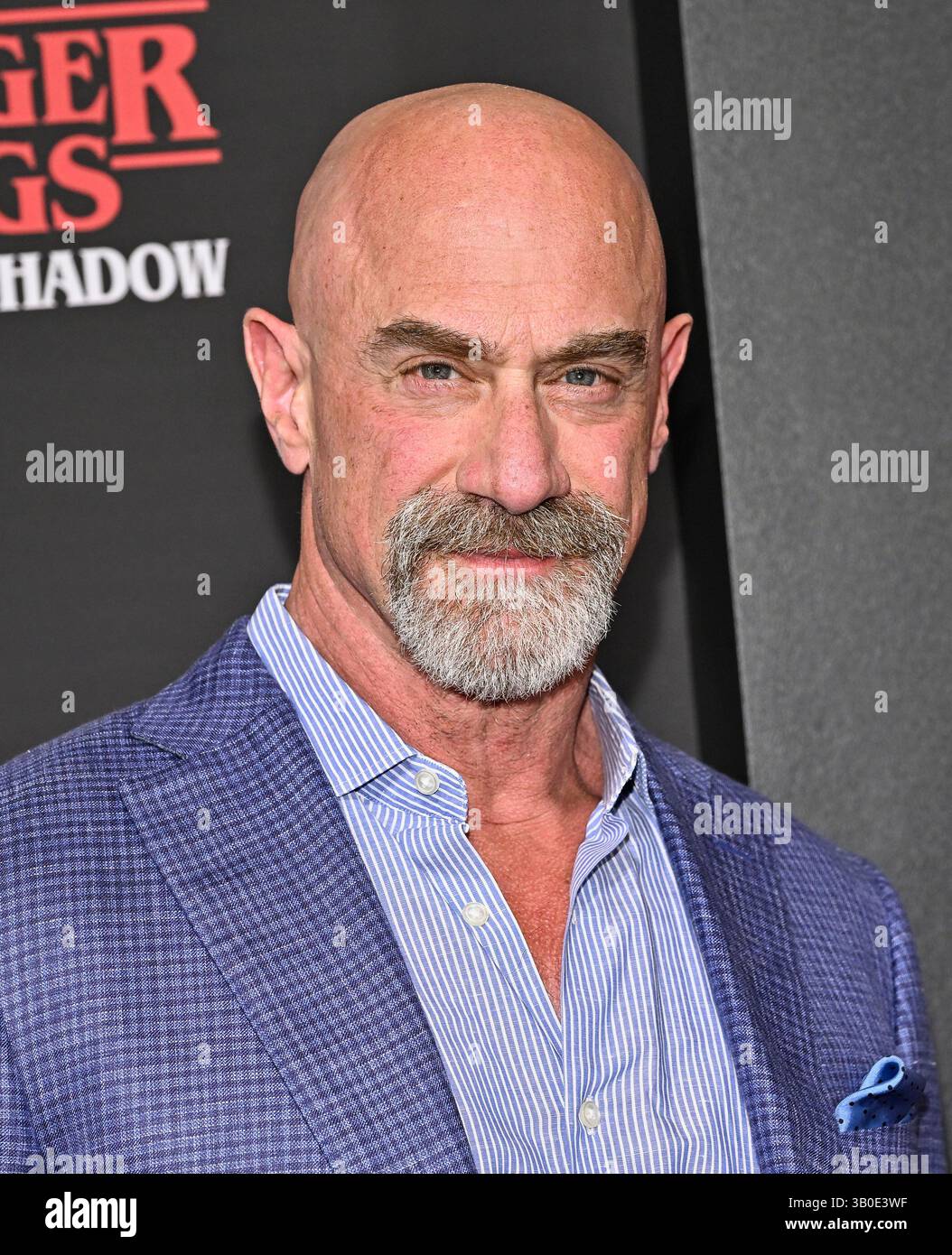 Christopher Meloni attends "Stranger Things: The First Shadow" Broadway ...
