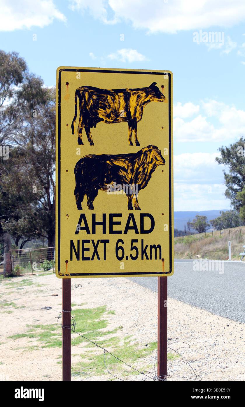 Beware of cows sign australia hi-res stock photography and images - Alamy