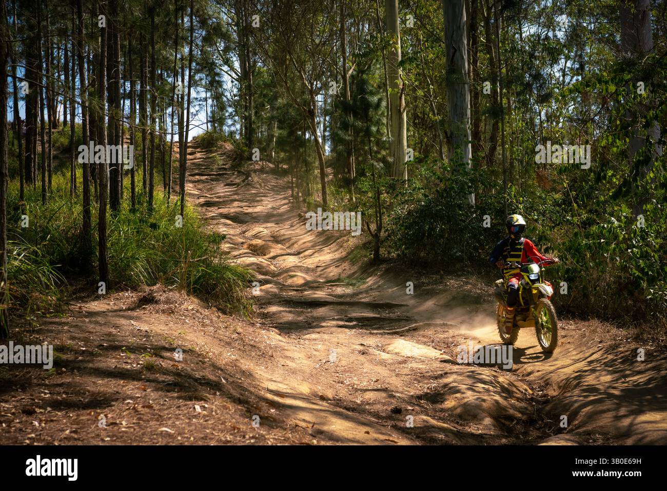 Motocross Rider Exploring a Brazilian Forest Trail Stock Photo - Alamy