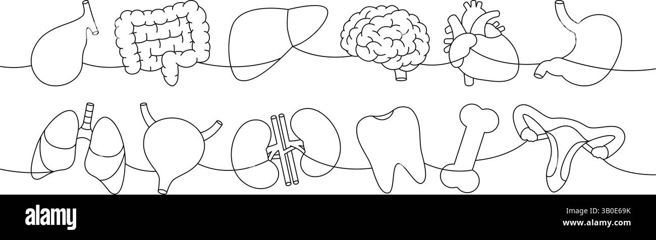 Intestines set Black and White Stock Photos & Images - Alamy