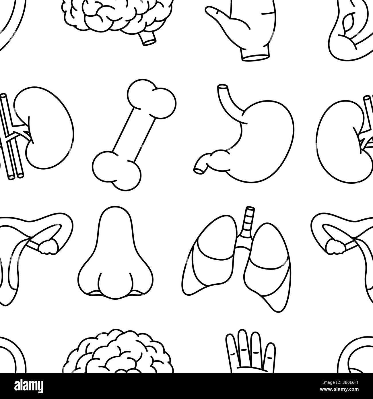 Human organs outline pattern. Internal organs anatomy. Vector ...