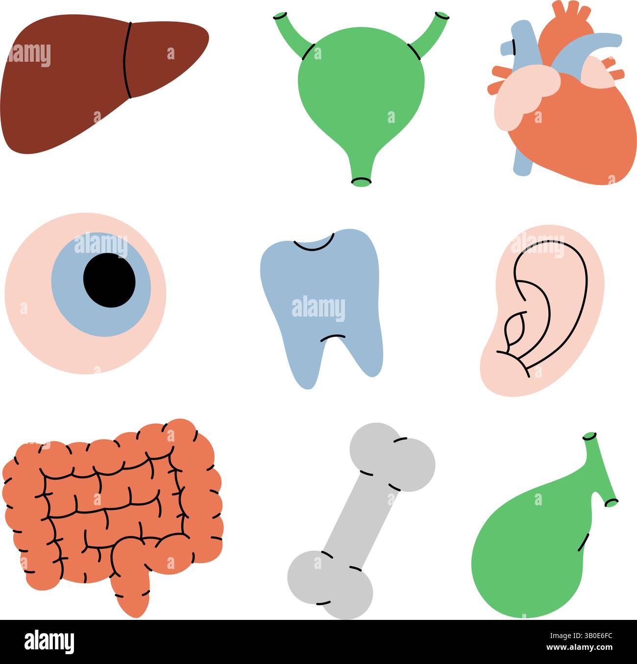 Human organs set. Heart, gallbladder, intestines, tooth, liver, eye ...