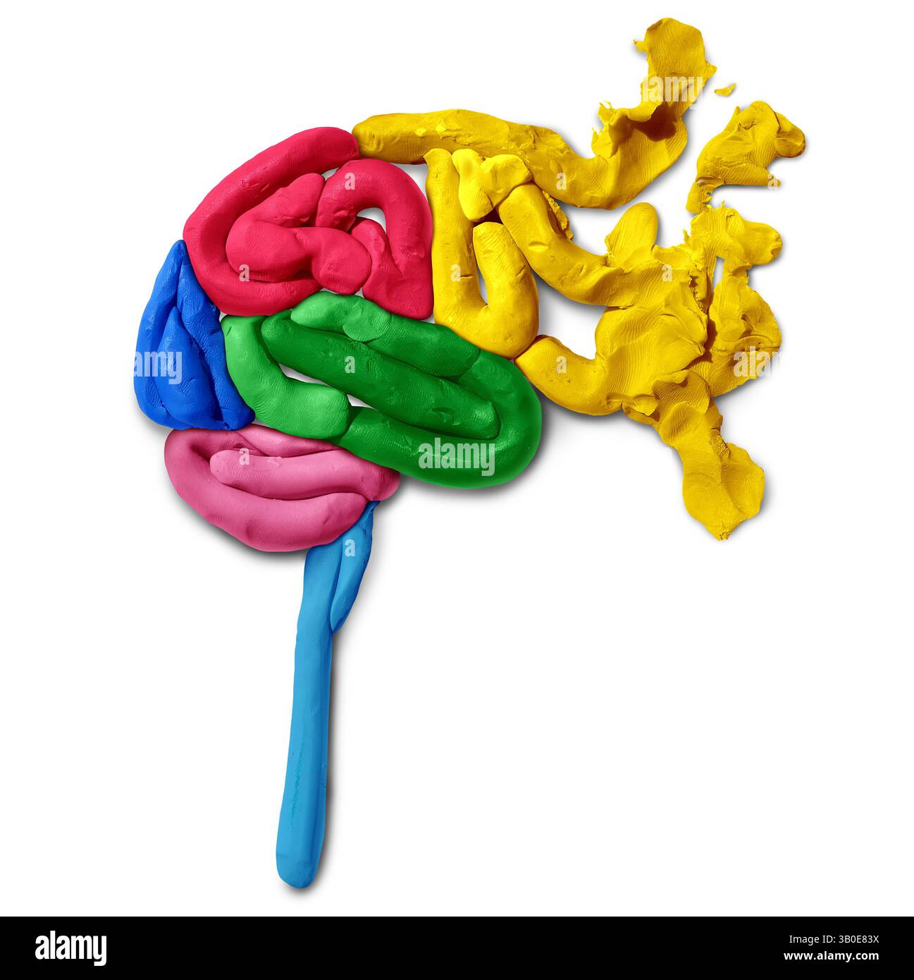 Brain Disorder and cerebral injury or mental health memory loss as ...