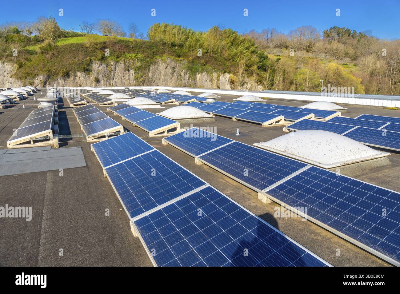 Rows of photovoltaic solar panels are mounted on a flat rooftop with ...