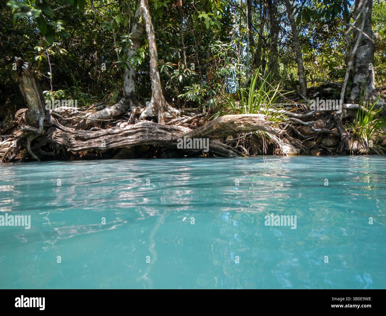 Cardwell australia pool hi-res stock photography and images - Alamy