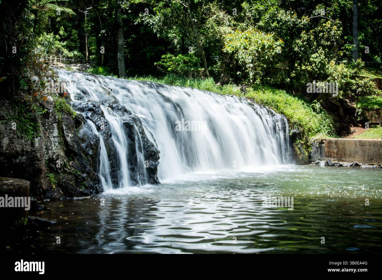 Malanda conservation park hi-res stock photography and images - Alamy