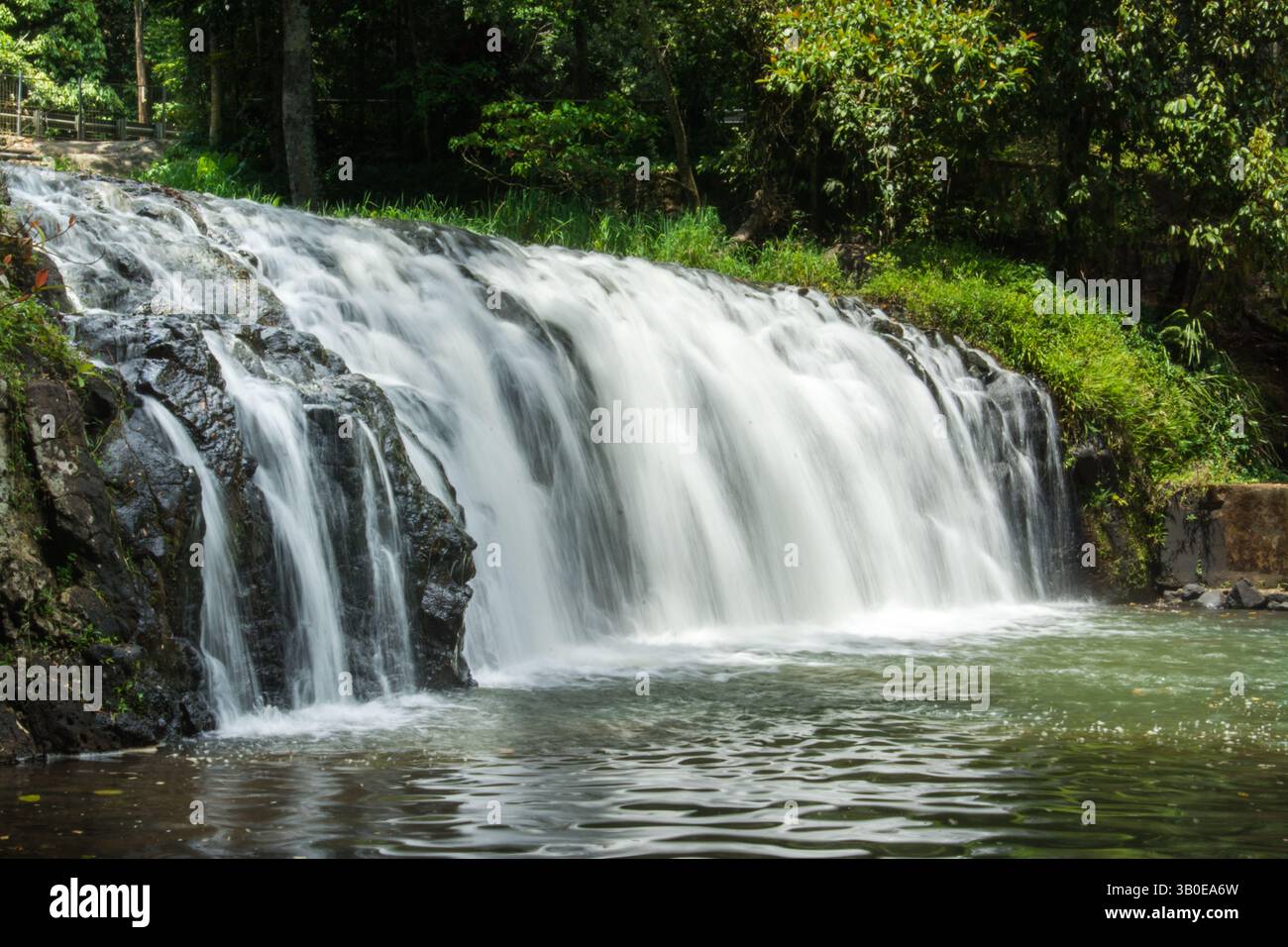 Malanda conservation park hi-res stock photography and images - Alamy