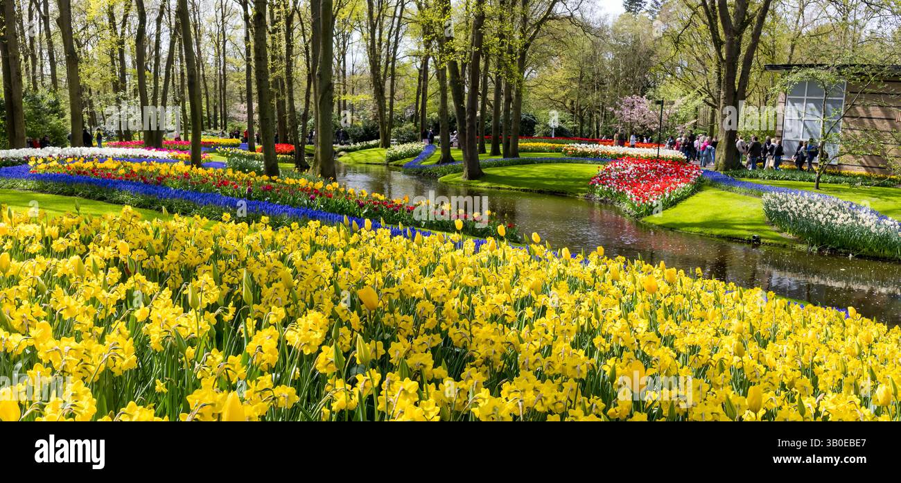 Panoramic view of scenic Keukenhof gardens in Lisse, Netherlands with bright flower display ...