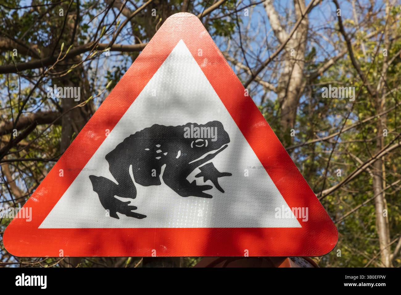 Warning road sign depicting a frog hi-res stock photography and images ...