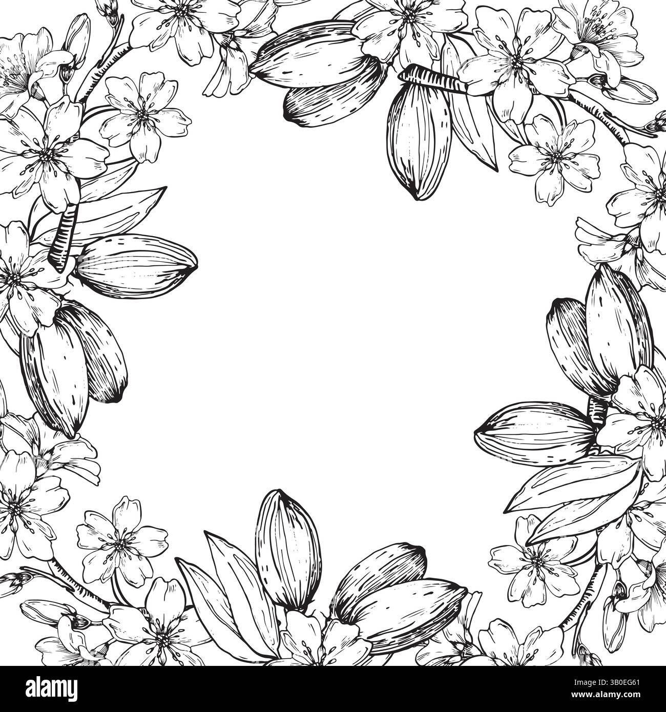 Almond frame vector illustrations hand drawn with ink Stock Vector ...