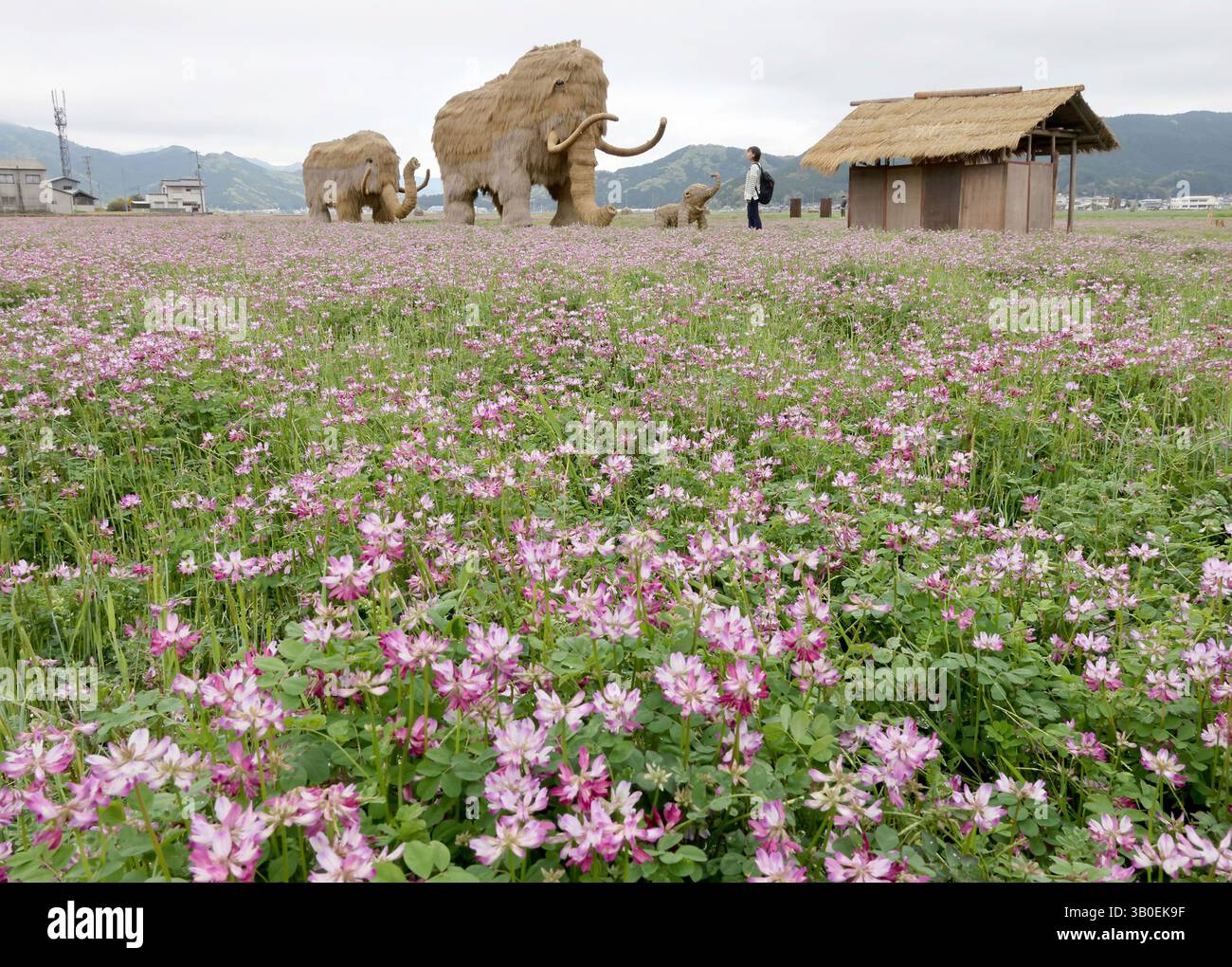 Straw-made works of mammoth, approximately seven meters tall, stand in ...