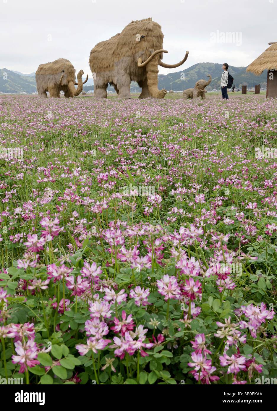 Straw-made works of mammoth, approximately seven meters tall, stand in ...