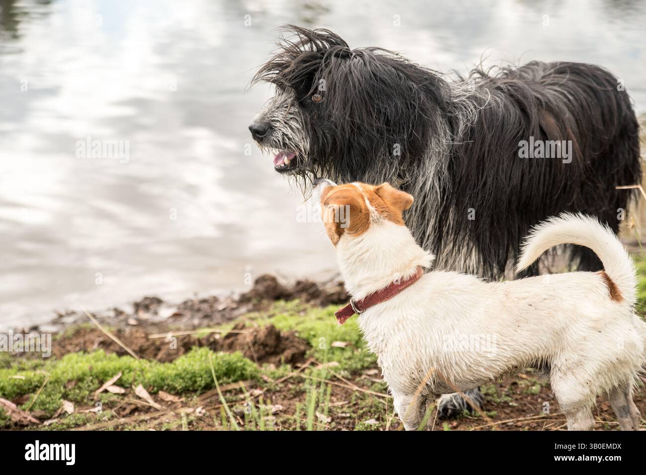 Two farm hi-res stock photography and images - Alamy