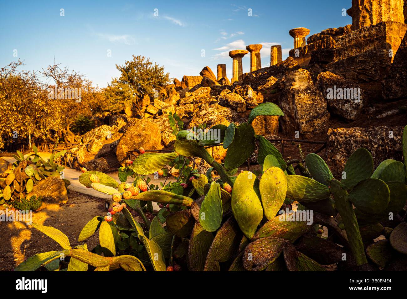 Agrigento, Valley of the Temples. Ancient archaeological area and ...