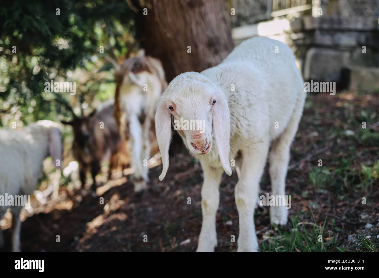 Life in rural areas hi-res stock photography and images - Alamy