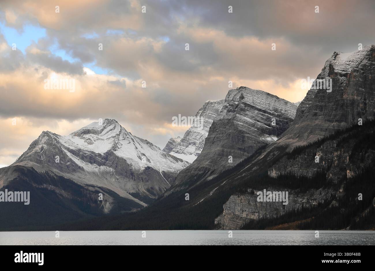 Elizabeth moffat hi-res stock photography and images - Alamy