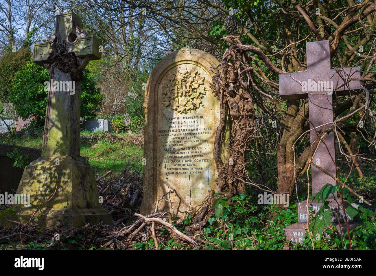 Gravestones and memorials in the picturesque Victorian Garden Cemetery ...