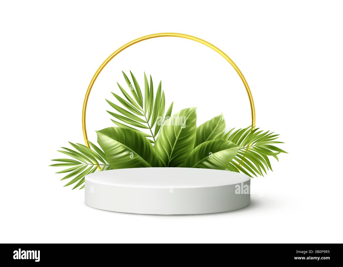 Table palm Cut Out Stock Images & Pictures - Alamy