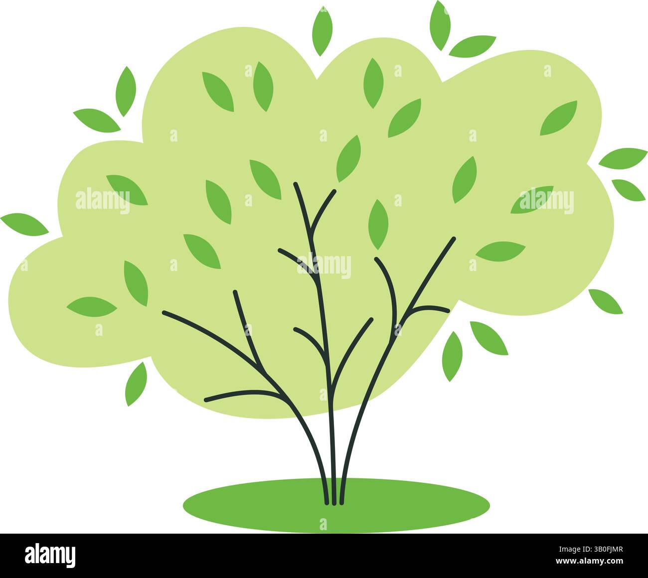 Young and fresh greenery Stock Vector Images - Alamy