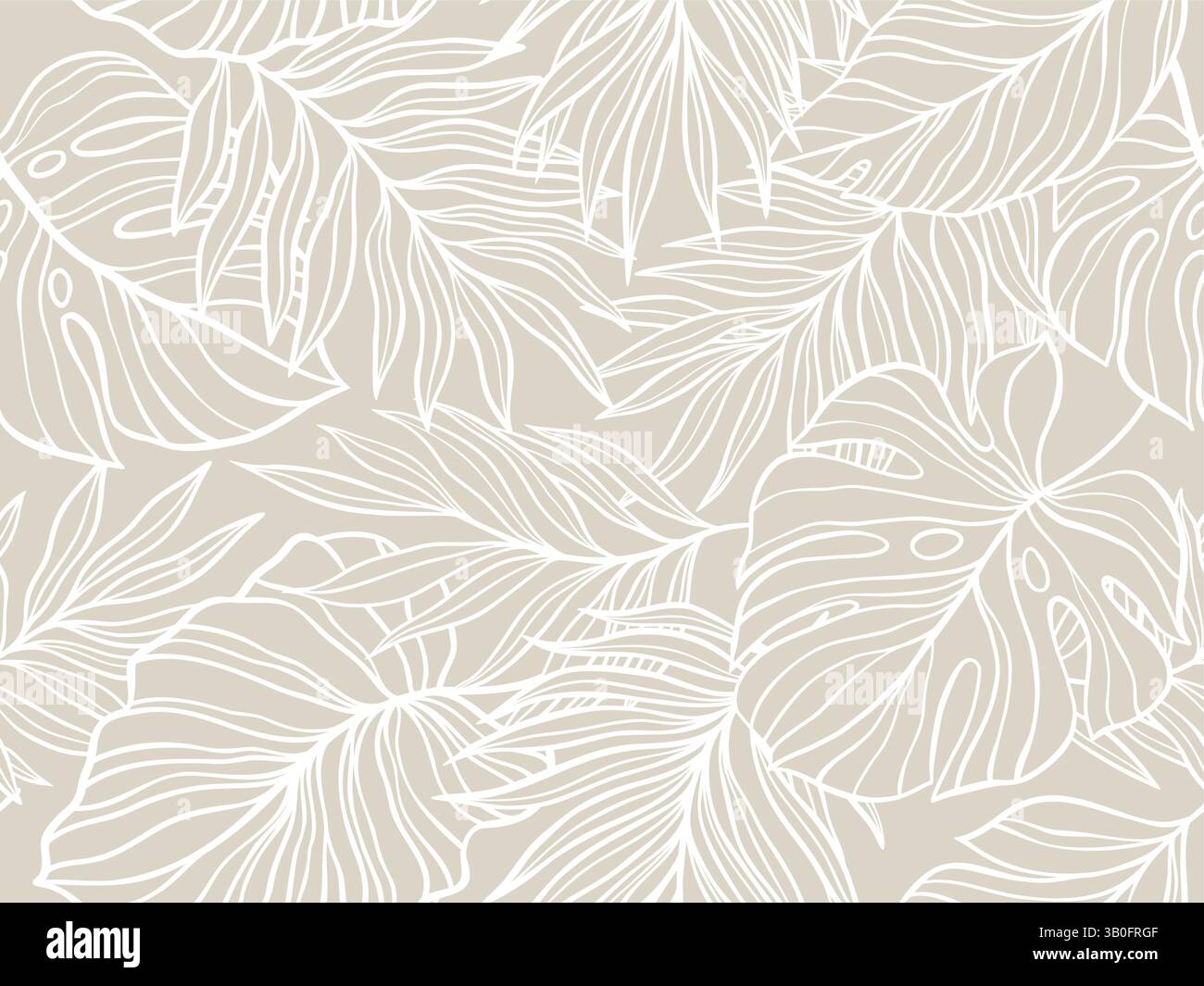 Elegant Botanical Vector Illustration Featuring Outline Drawings of ...