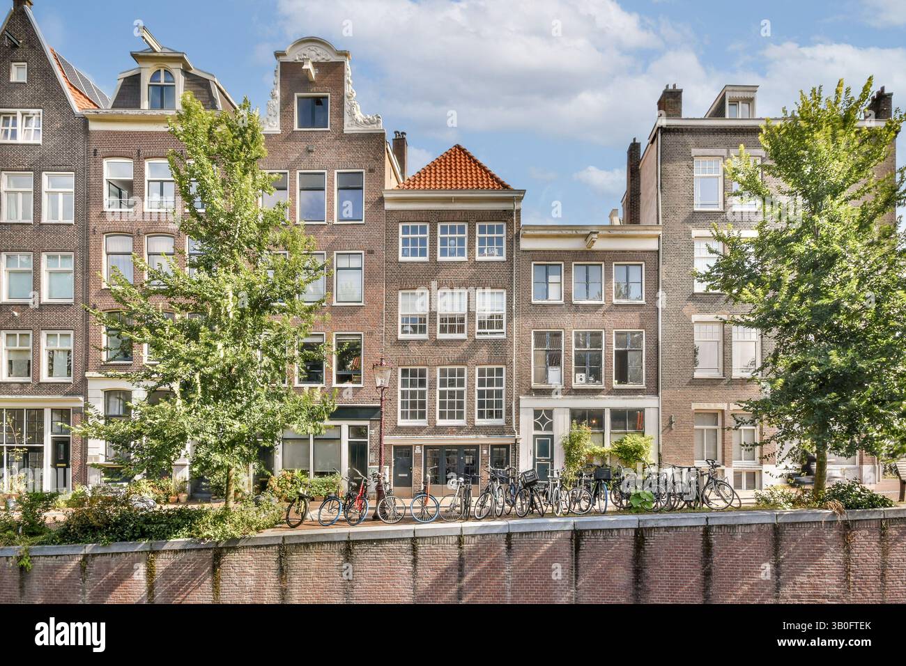 Elegant canal houses showcase unique architecture surrounded by lush ...