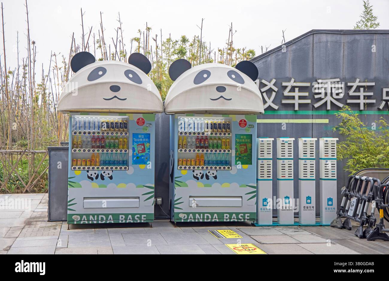 panda vending machines in the world famous chengdu giant panda research ...