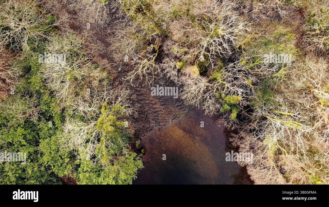 4K Aerial view in the Wirral areas of, Birkenhead, Wallasey, New ...
