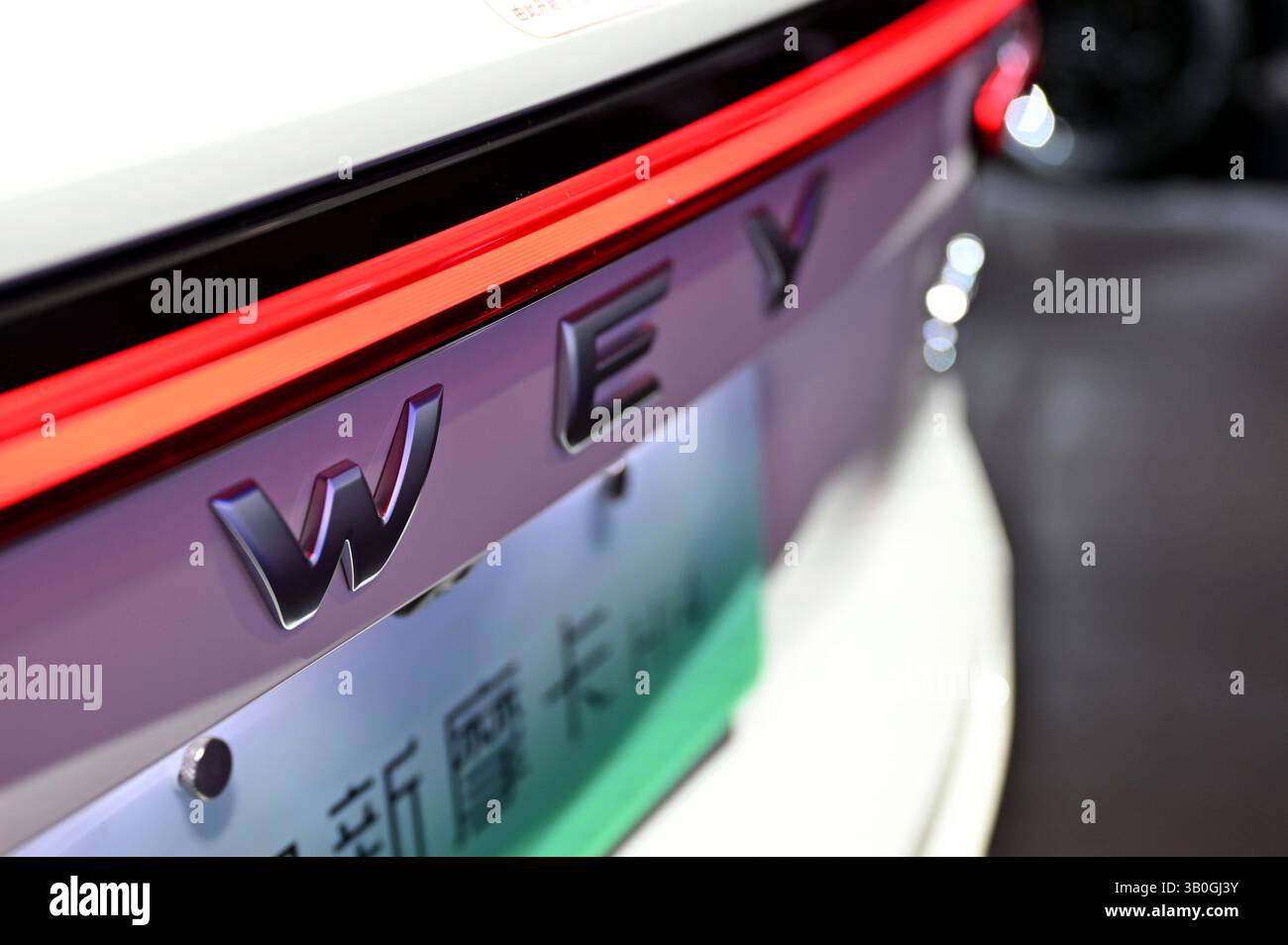 24 April 2025, China, Shanghai: The logo of the Chinese brand WEY can ...