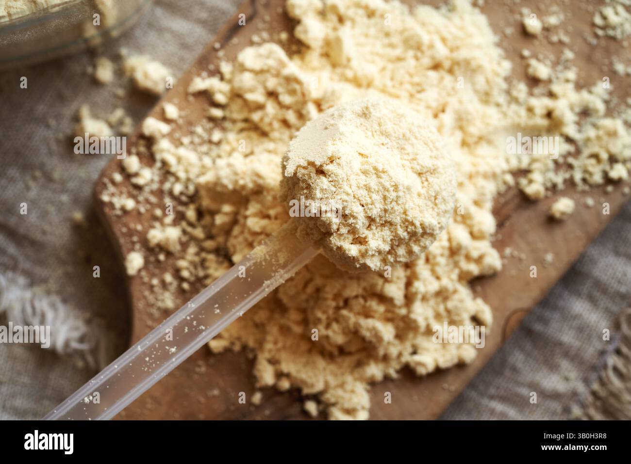 Whey protein powder in a transparent plastic measuring scoop on a table ...