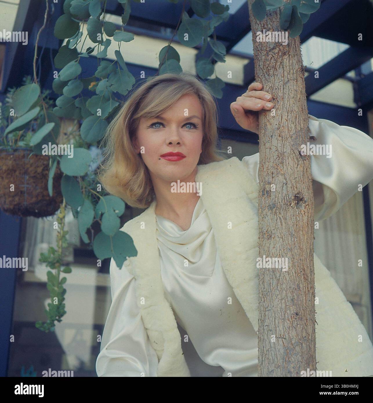 ANNE FRANCIS (Sept. 16, 1930 - Jan. 2, 2011) was an American actress ...