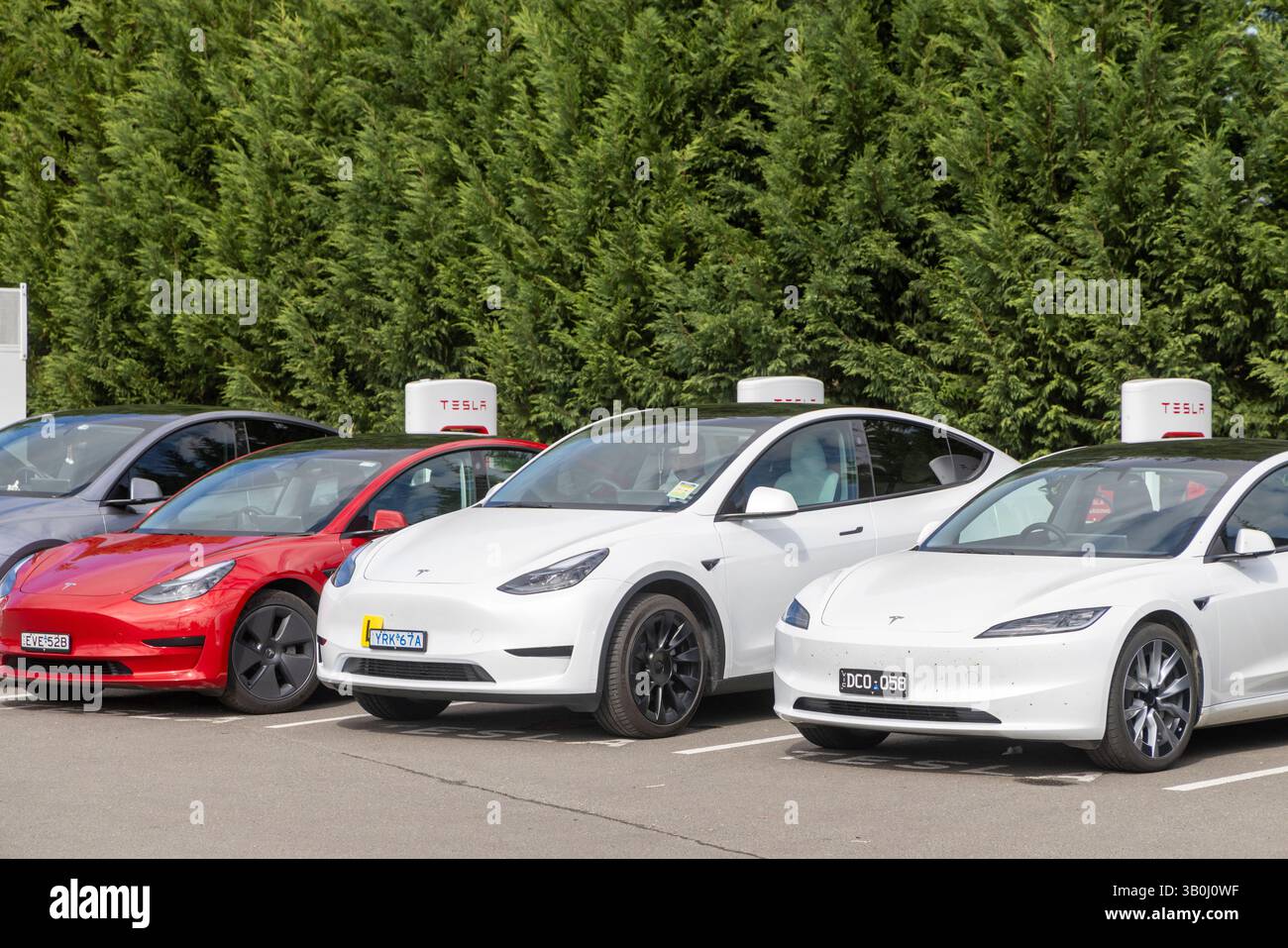 Tesla Cars model 3 and Y charging at Tesla supercharger site in Exeter ...