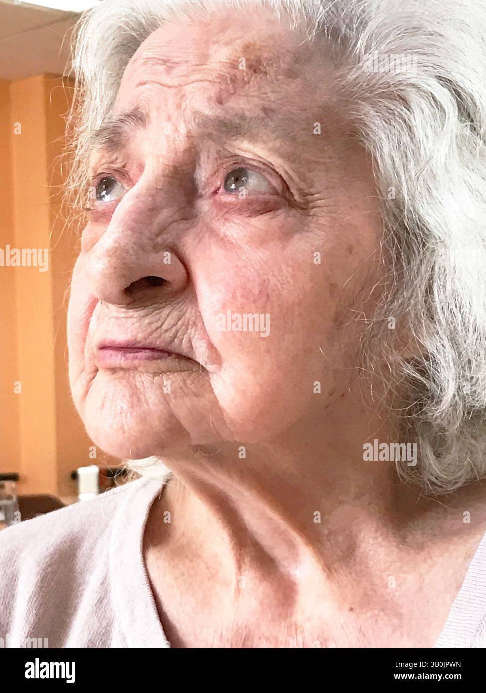 Close up from view hi-res stock photography and images - Alamy