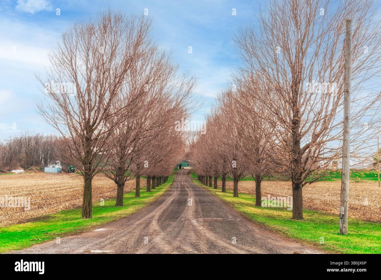 Country Farm Driveway - spring weather Stock Photo - Alamy