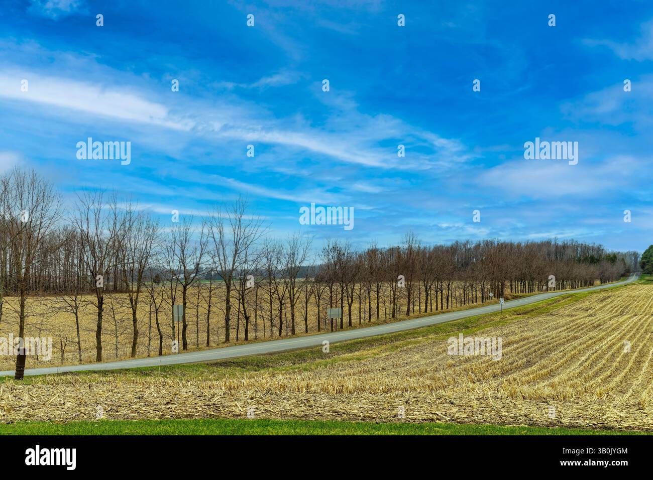 Vibrant rural scenery hi-res stock photography and images - Alamy