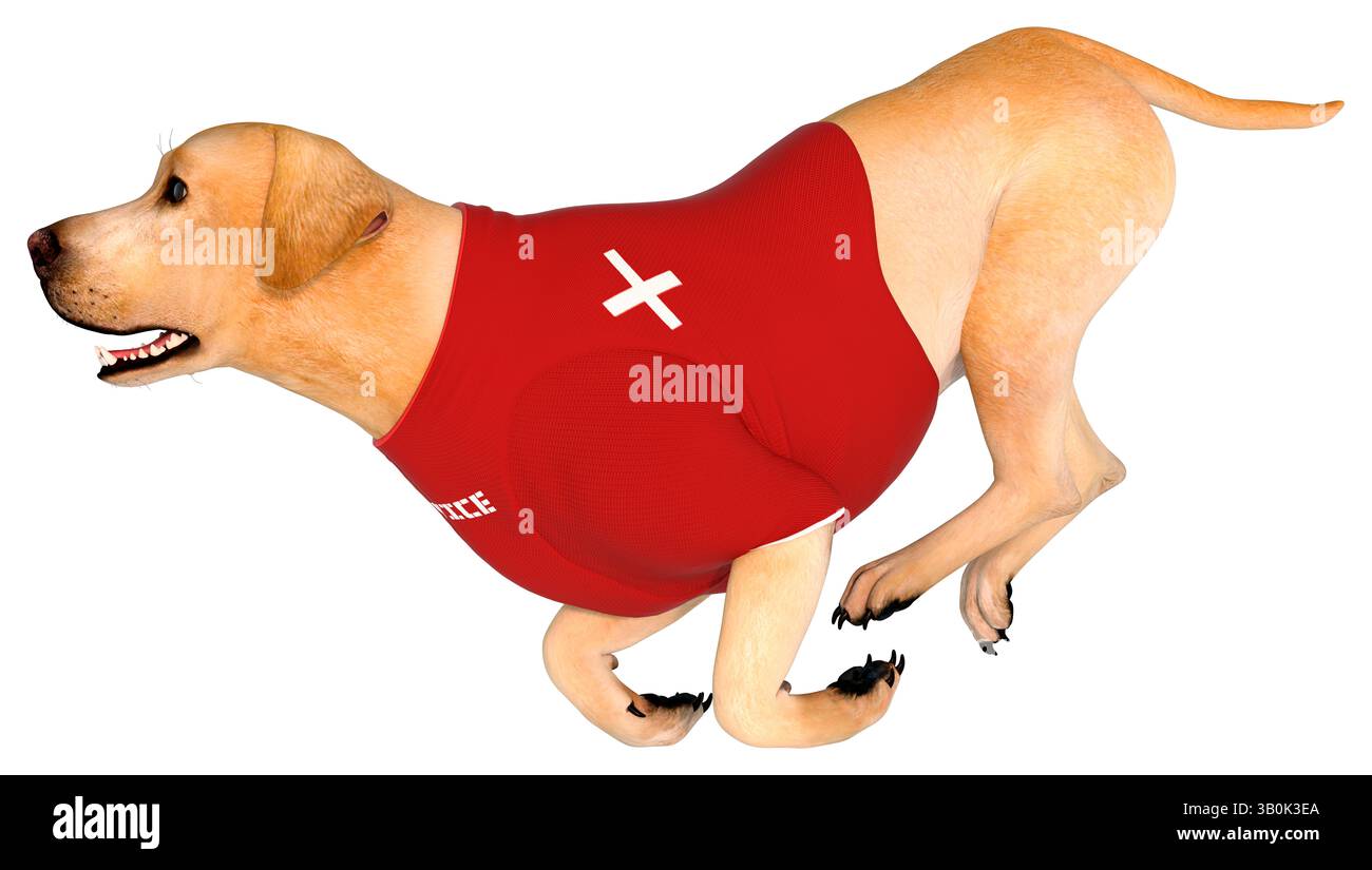 3D rendering of a yellow labrador service dog isolated on white ...