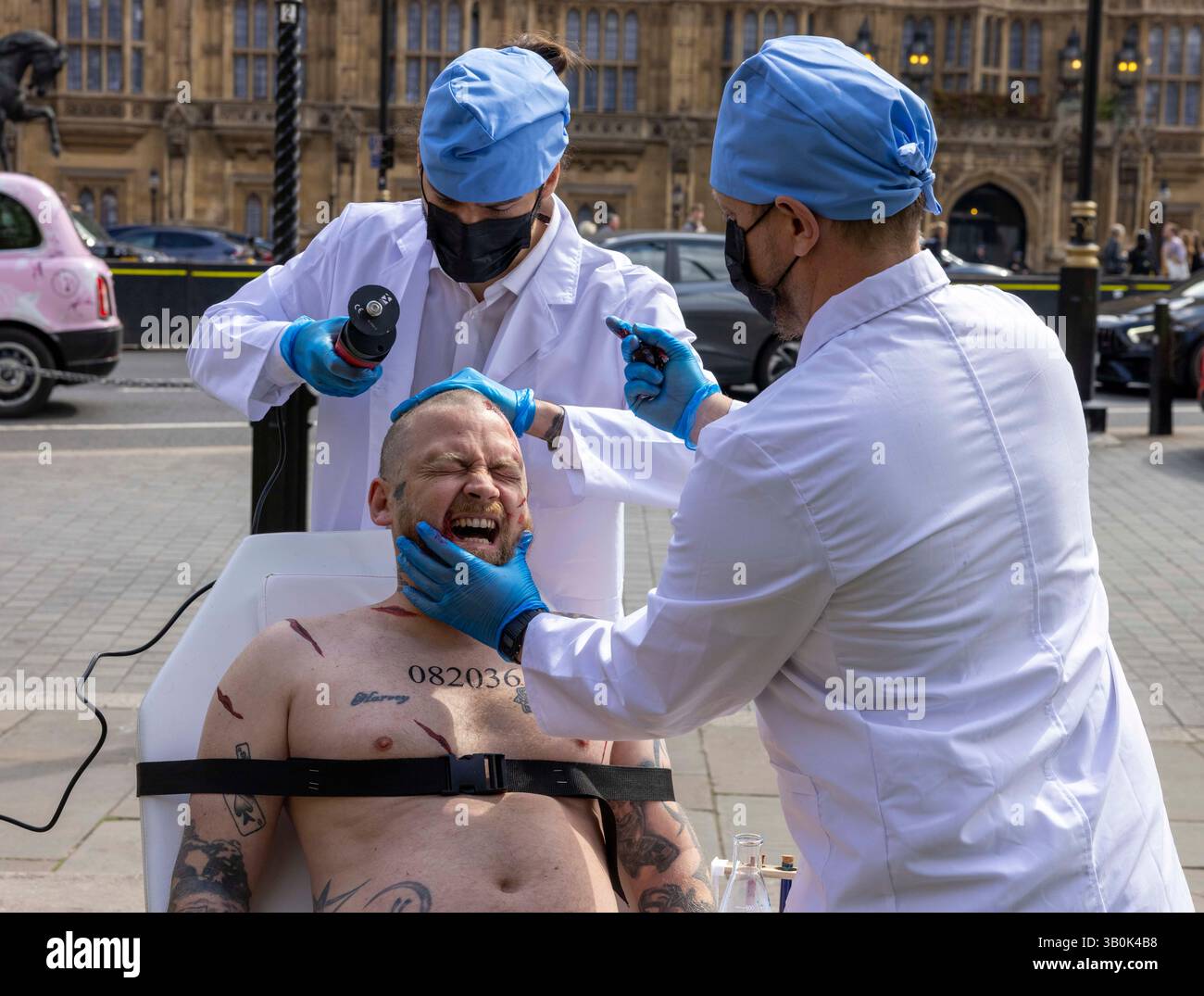 Peta animal testing hi-res stock photography and images - Alamy