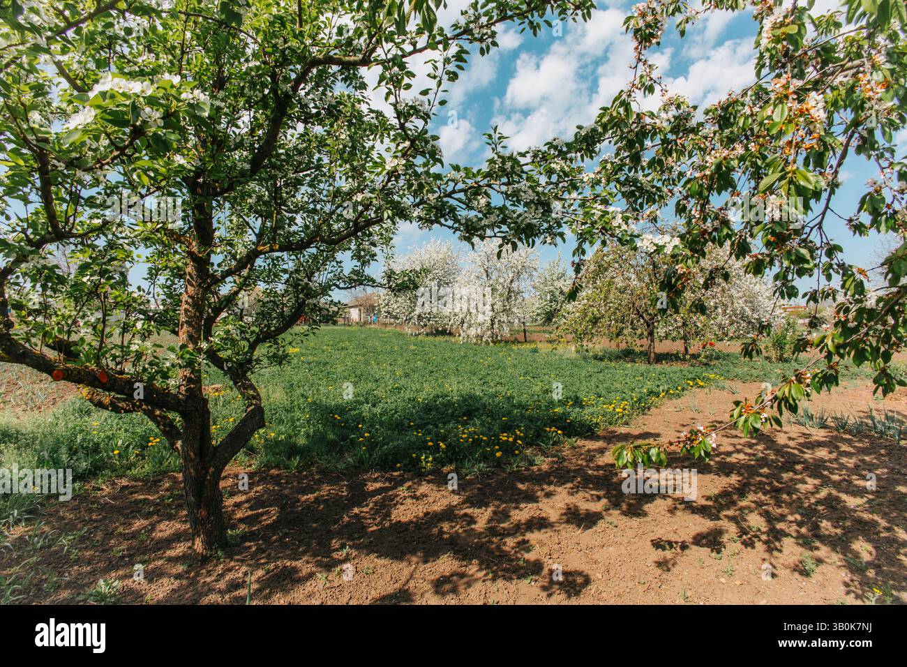 Peaceful rural atmosphere hi-res stock photography and images - Alamy