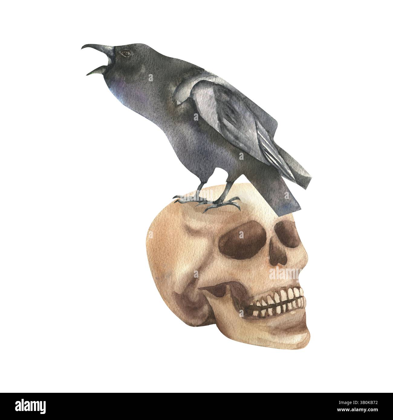 Black raven sitting on human skull watercolor illustration. Halloween ...