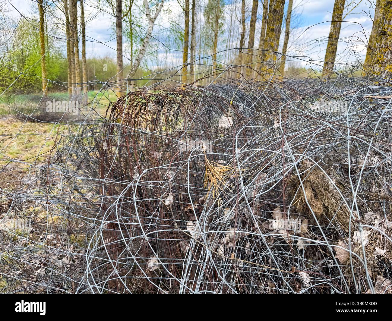 Rusted and tangled rolls of metal mesh fencing with dead leaves and ...