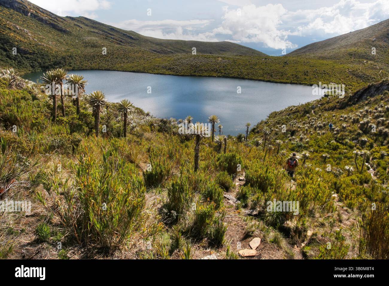 Parque abierto hi-res stock photography and images - Alamy