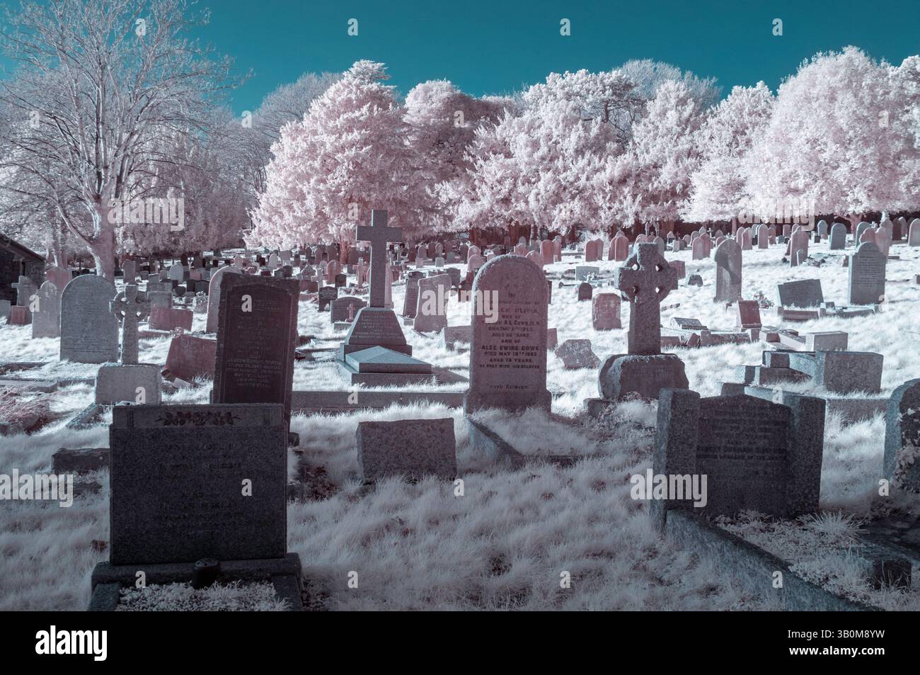 Infrared picture of gravestones and monuments in Clevedon Cemetery, St ...