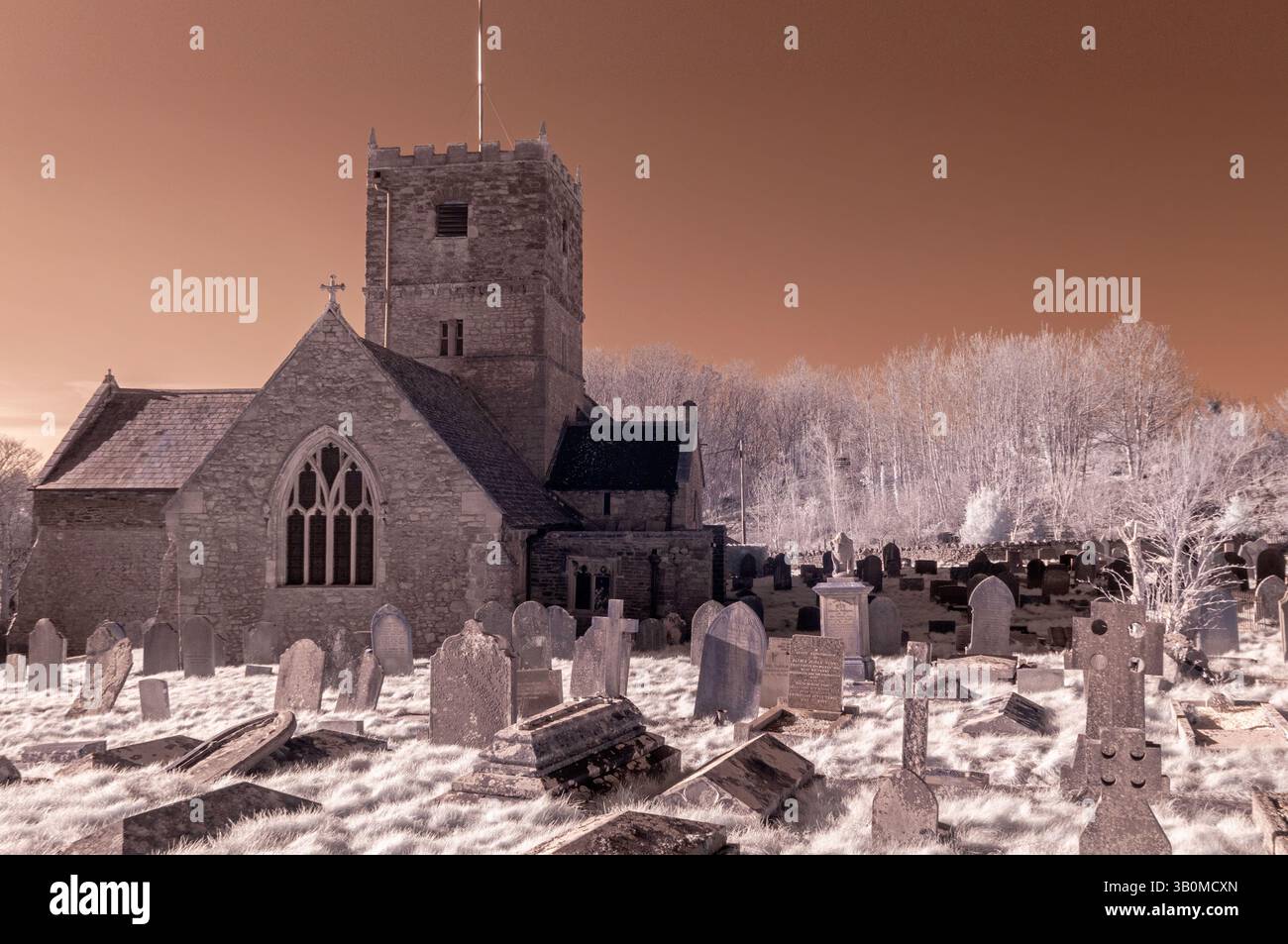 Infrared picture of gravestones and monuments in Clevedon Cemetery, St ...