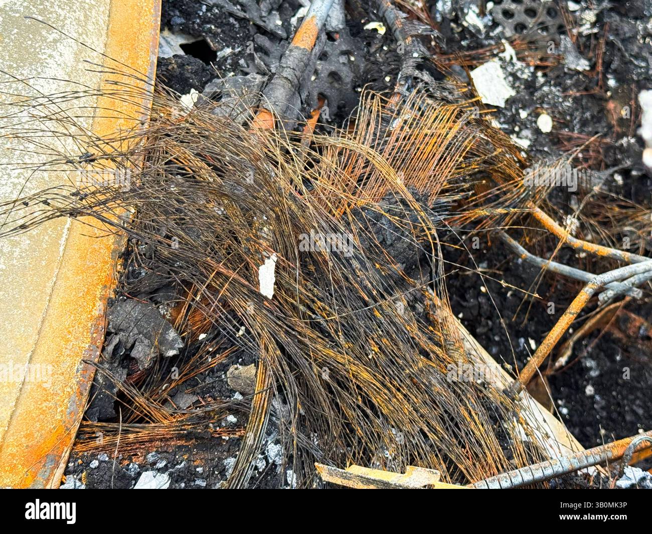Burned car wiring harness with melted insulation and exposed copper ...