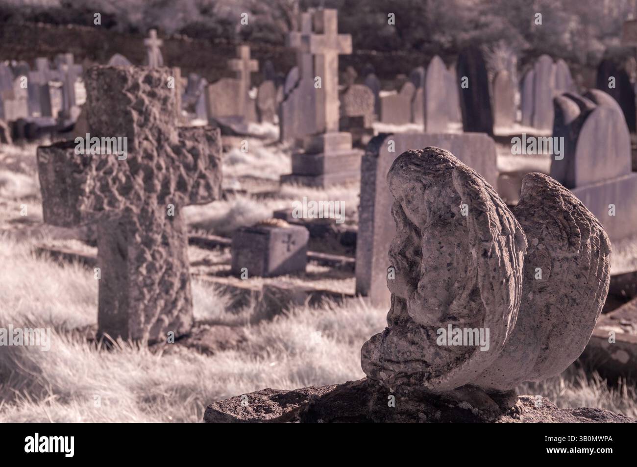 Infrared picture of gravestones and monuments in Clevedon Cemetery, St ...