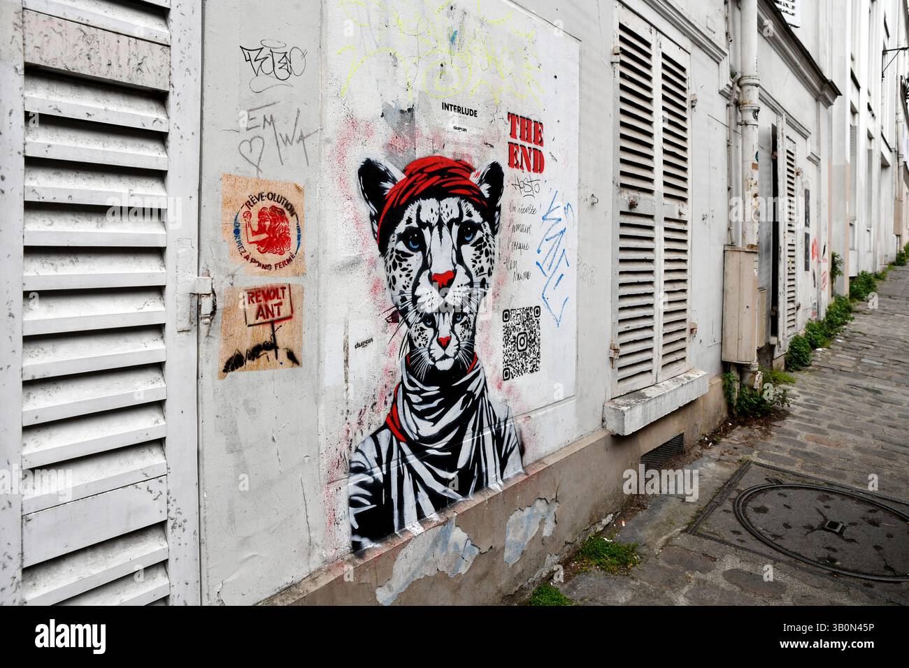 Street art wall in Montmartre in Paris - France Stock Photo - Alamy