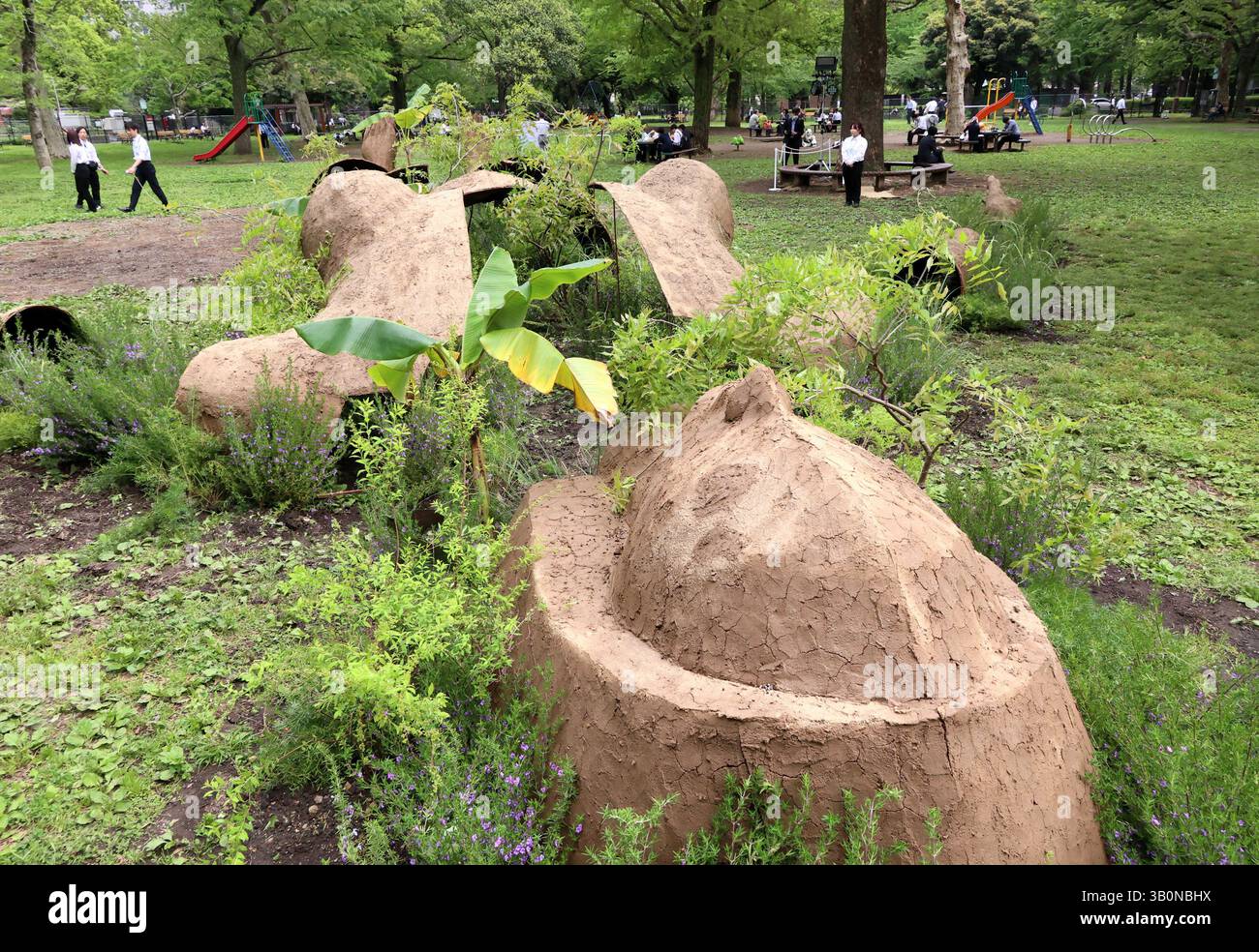 Tokyo, Japan. 24th Apr, 2025. An art work "Statue of Hainuwele ...