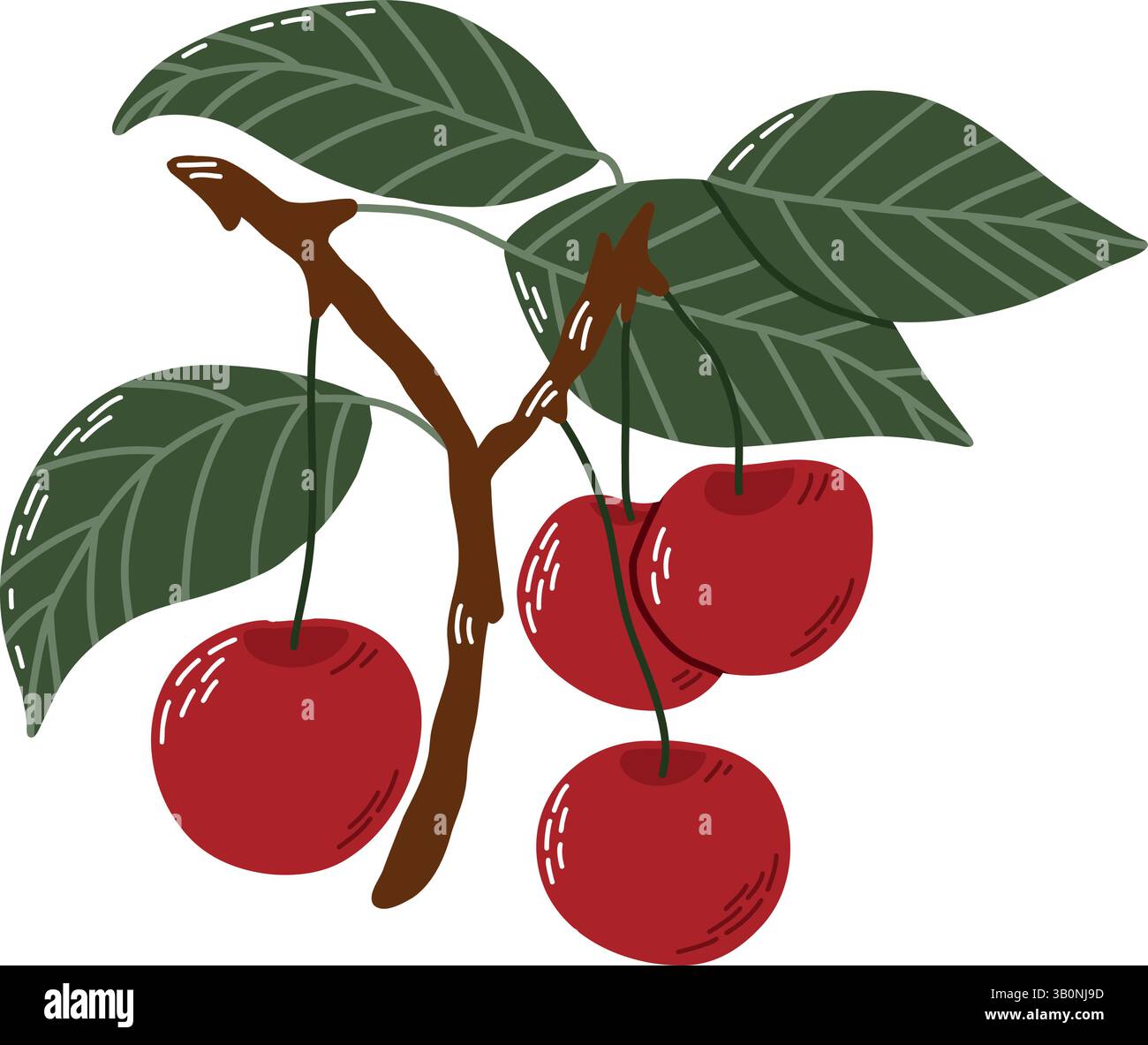 Red berry hanging on branch Stock Vector Images - Alamy