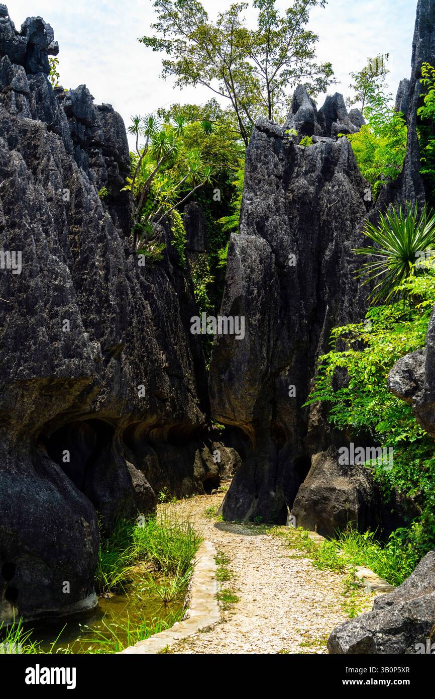 The Maros Pangkep Geopark Area, kars stone forest in Maros, South ...